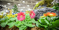Official Northwest Flower & Garden Festival | February 14-18, 2024 ...