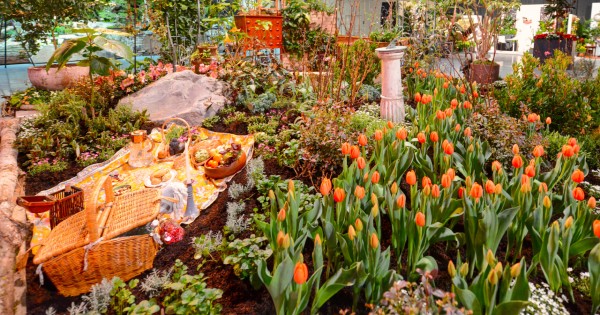 Flower And Garden Show Seattle Washington | Best Flower Site