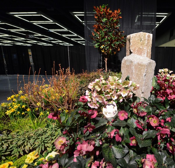 Flower And Garden Show Seattle Washington | Best Flower Site