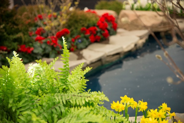 Features of the Maryland Home & Garden + Craft Show