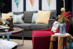 Features of the Downtown Raleigh Home Show Spring